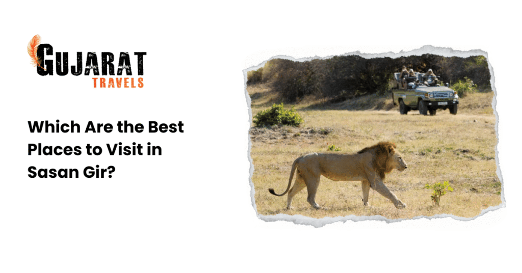 Which Are the Best Places to Visit in Sasan Gir? | Gujarat Tempo Traveller
